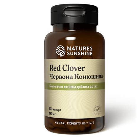Красный Клевер, Red Clover NSP в Киеве и Украине ᐉ nspdoma.com