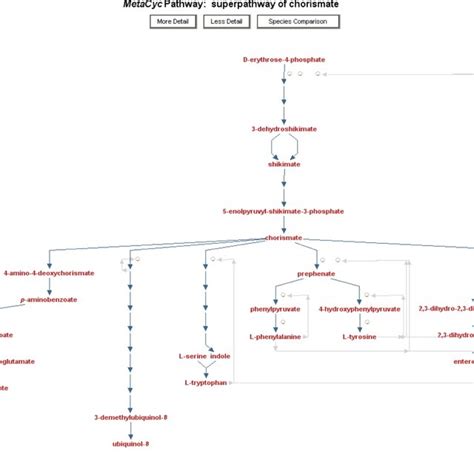 A Typical Metacyc Pathway Diagram Commentary And Other Data That Is Download Scientific