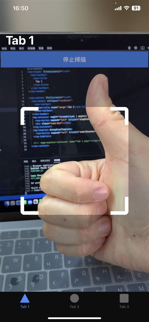 Ionic And Capacitor Barcode Scanner