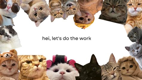 Cat Circle Wallpaper For Laptop