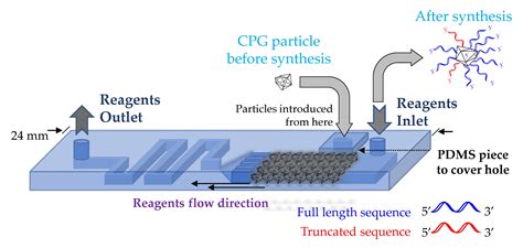 applied sciences free full text a simple and efficient microfluidic