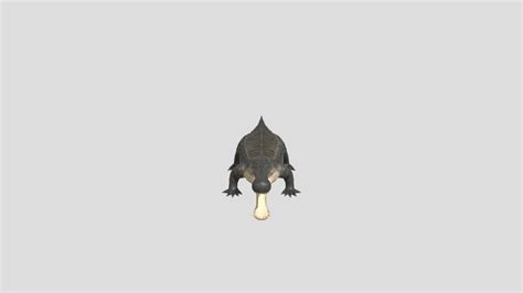 Sarcosuchus Download Free 3d Model By Modbuff Cgreature 7b876aa