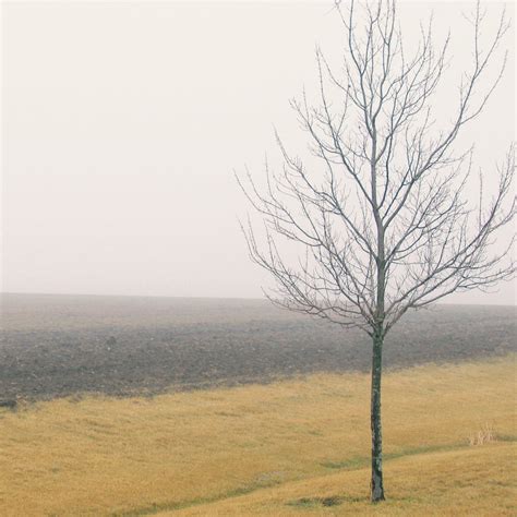 James Falzone Jack Straw Cultural Center