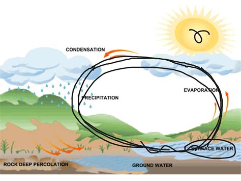 Water Cycle Earth Science Condensation Water Cycle Showme