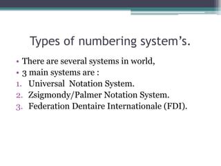 Tooth Numbering System PPTX