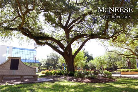 Spring 2021 Presidents Honor List Mcneese State University