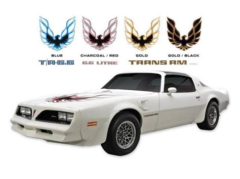 Pontiac Firebird Decal