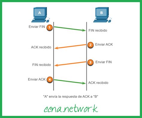 Vulnerabilidades TCP E UDP CCNA