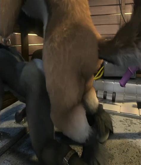 Wolf And Donkey Stable Fuck 3d