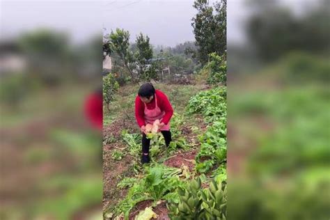 看我今天咋个逮你的搞笑cp欢乐多戏精的日常