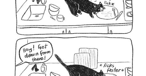 Cats By Susie Esse Album On Imgur