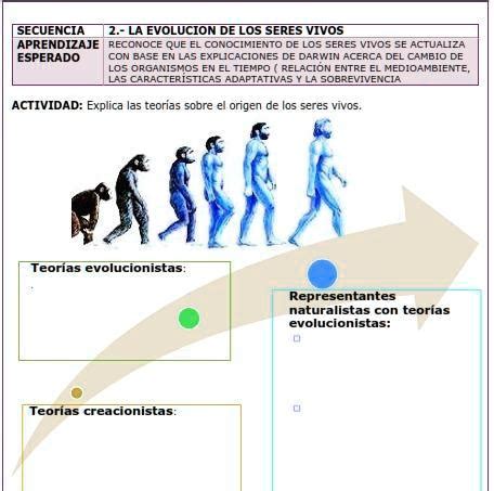 SOLVED Ayuda Porfavor Doy Corona SECUENCIA 2 LA EVOLUCION DE LOS