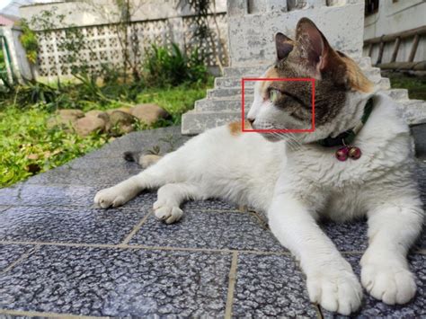 Review Poco X Nfc Adakah Yang Bisa Melawannya Gadgetren