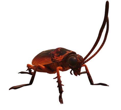 Cockroach Grounded Wiki