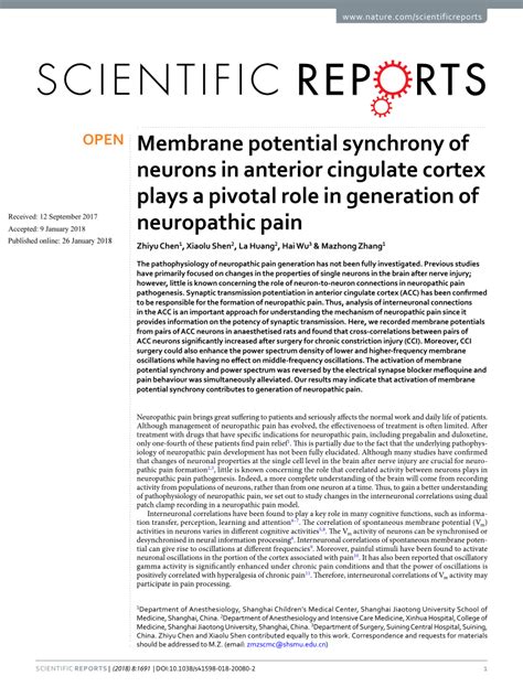 PDF Membrane Potential Synchrony Of Neurons In Anterior Cingulate Cortex Plays A Pivotal Role