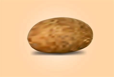Premium Vector Two Potato Vector Illustration