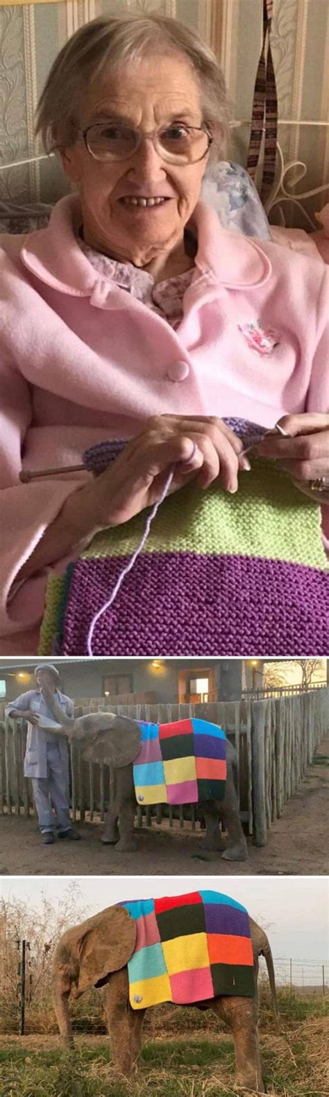 Amazing Grandmas And Grandpas 42 Pics