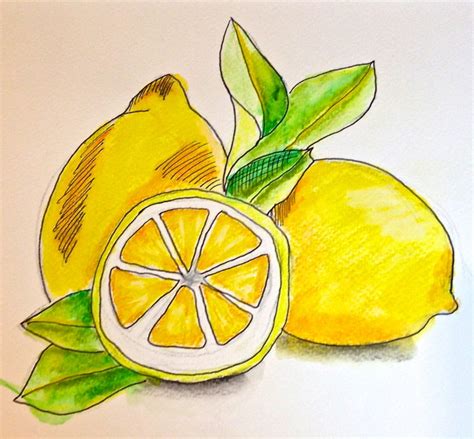 Lemons Drawing At Getdrawings Free Download