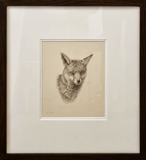 Sleeping Fox By Jonathan Pointer At Norton Way Gallery