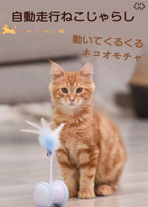 【楽天市場】猫 おもちゃ 一人遊び 電動 自動 ネコ おもちゃ ねこ 猫じゃらし キャットトイ キャットおもちゃ 自動回転 羽のおもちゃ 猫