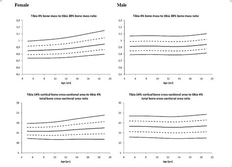 Reference Ranges For Longitudinal Shape Indexes Of The Tibia By Age