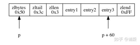 Redis 压缩列表ziplist、quicklist 知乎