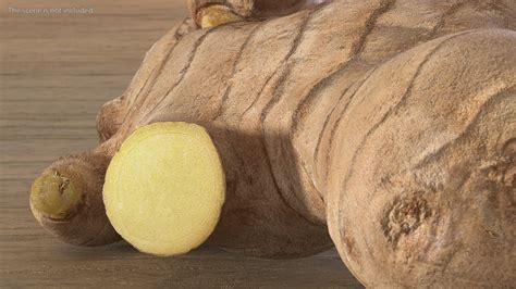 Ginger Without Part 3d Model 29 3ds Blend C4d Fbx Max Ma Lxo