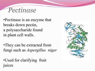 Microbes In Biological Controlfermentation And Enzyme Technology Pptx