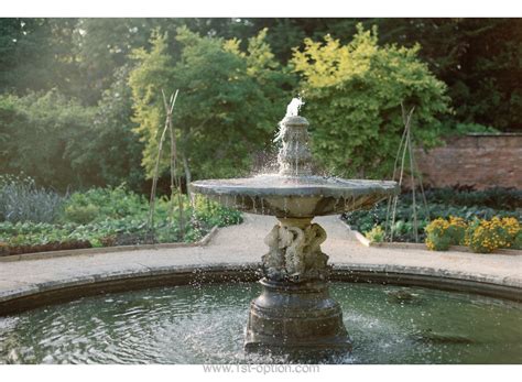 Parnham Park Shoot Location Dorset 1st Option