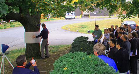 Fractal Antenna Systems Secures Patent On Invisibility Cloak Detection Technique