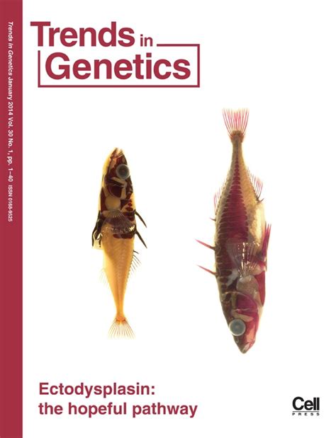 Issue Trends In Genetics