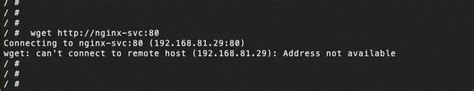 Resolving Address Not Available Issues In A Container Environment
