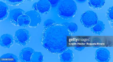 Human Cell Splitting Photos And Premium High Res Pictures Getty Images
