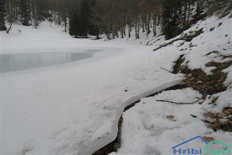 Krniška Glavica Slika 698560