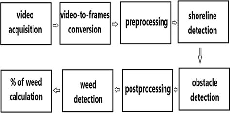 The Flow Chart Of Weed Detection System Download Scientific Diagram