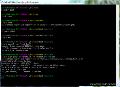 ubuntu18 04搭建本地git服务器（支持ssh和协议，支持gitweb） ubuntu window git ssh csdn博客