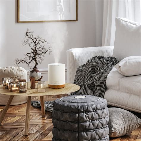 Can An Essential Oil Diffuser Repel Mosquitoes Asakuki