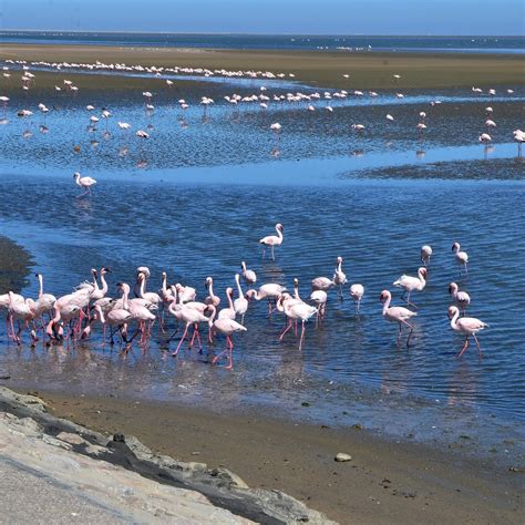 Walvis Bay Waterfront 2021 All You Need To Know Before You Go With Photos Walvis Bay