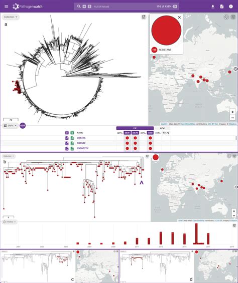 Pathogenwatch To For Collaborative International Surveillance Of S