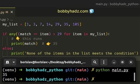 Get The First Item In A List That Matches Condition Python Bobbyhadz