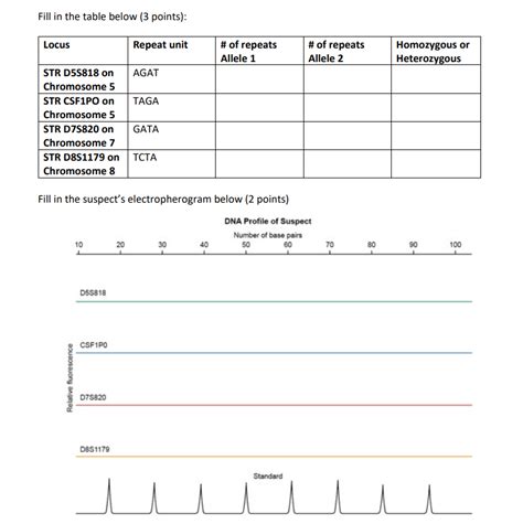 Solved Fill In The Table Below 3 Points Fill In The