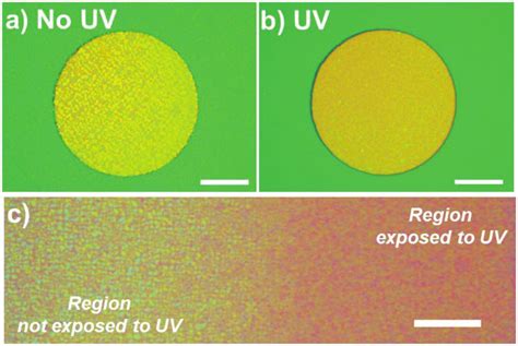 Analysis Of The Pvdf Film Microstructure A Polarized Optical Images