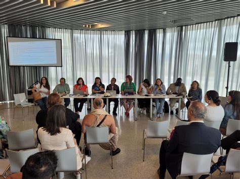 Iitc Delegation Attends 17th Session Of Emrip International Indian