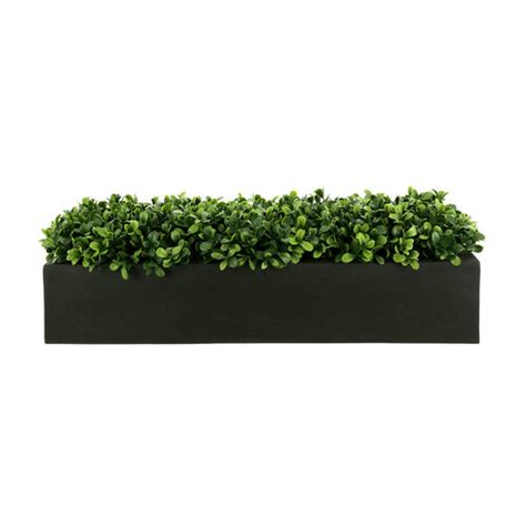 Creative Displays Inc Multi Colored Assorted Sedum In Planter