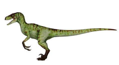 Groxyraptus Rex User Profile Deviantart