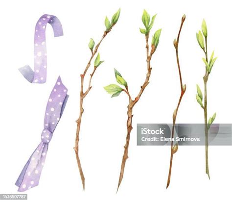 수채화 수선화 손으로 그린 봄 수선화 꽃 새싹 잎 및 줄기가있는 물체 세트 흰색 배경에 고립되어 있습니다 초대장 결혼식 부활절 인사말 카드 종이 인쇄물 섬유 디자인 0명에
