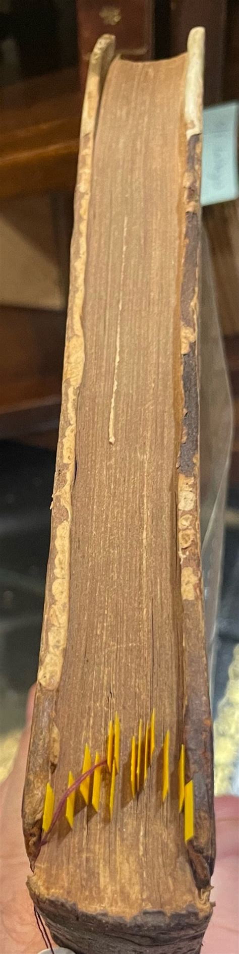 Newton Astronomy Explained Upon Sir Isaac Newtons Principles Made Easy To Those Who Have Not Newton Astronomy Explained Upon Sir Isaac Newtons Principles Made Easy To Those Who Have Not