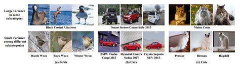 细粒度图像识别object part attention driven discriminative localization for