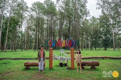 ไปถ่ายรูปฮิปๆ ที่สวนสนแม่แตง หรือสวนผลิตพันธ์ไม้สนสองใบ จุดเช็คอินโดนใจสายแชะ