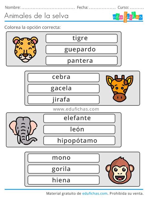 Animales De La Selva Para Niños Fichas Fotos Y Recortables Gratis
